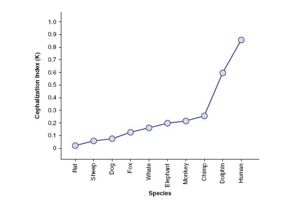C_07. The Evolutionary Approach: Change Over Time - DL Bible - 43 ...