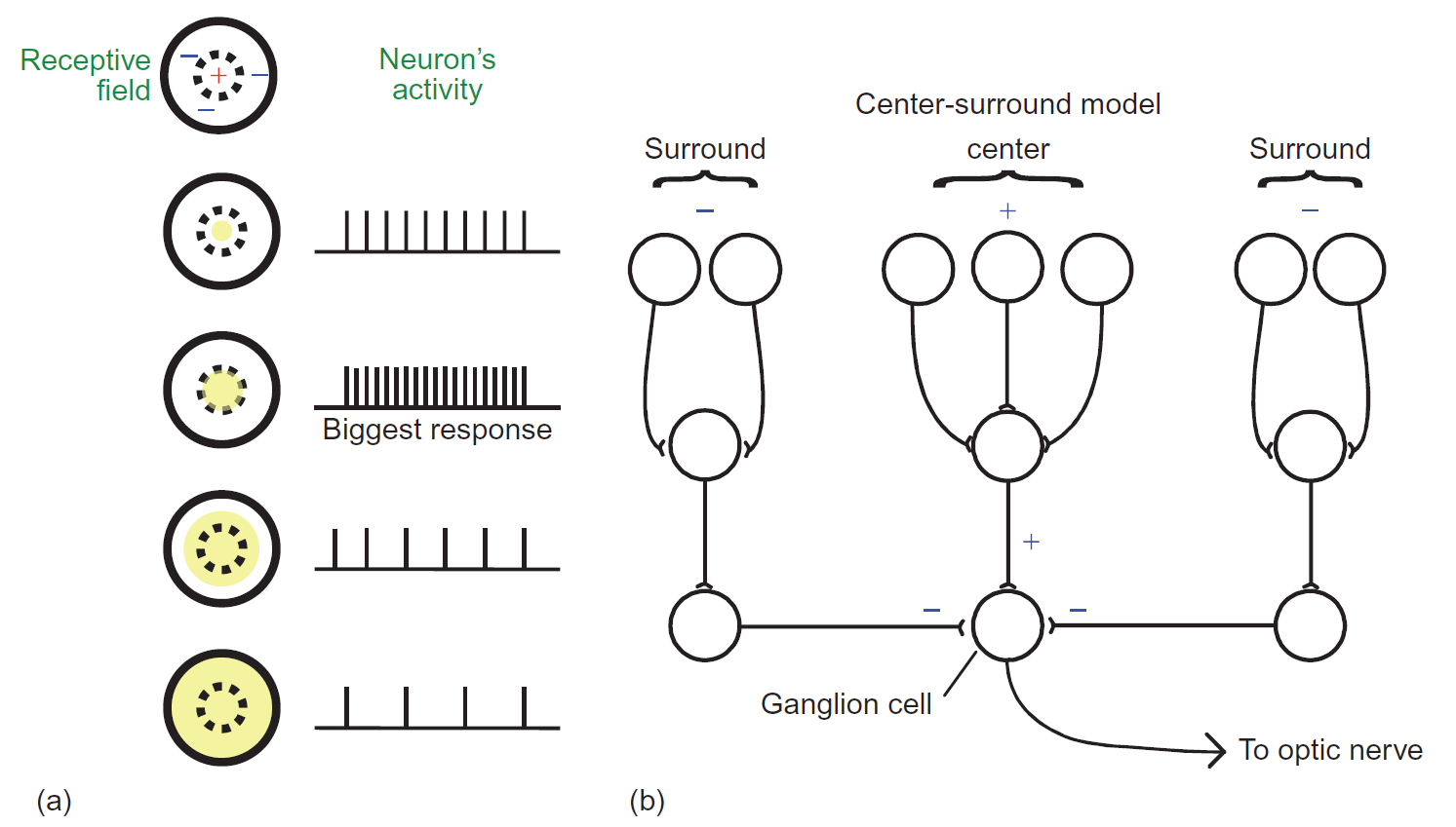06. The art of seeing - Deep Learning Bible - N. Machine Learning for ...
